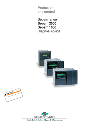 Sepam 2000 - Diagnosis guide User guide | Schneider Electric