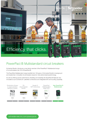 PowerPact B Multistandard Brochure | Schneider Electric