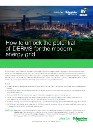 How to unlock the potential of DERMS for the modern energy grid ...