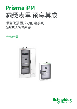 Prisma iPM标准化预置式分配电系统至630A WM系统产品目录 | Schneider Electric