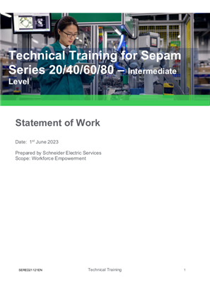 Technical Training for Sepam Series 20-40-60-80-Intermediate Level ...