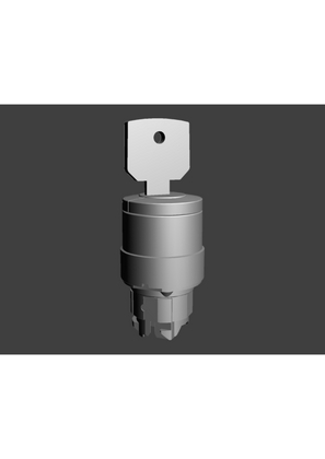 Key switch selector head, metal, black, Ø22, special key, 2 positions ...