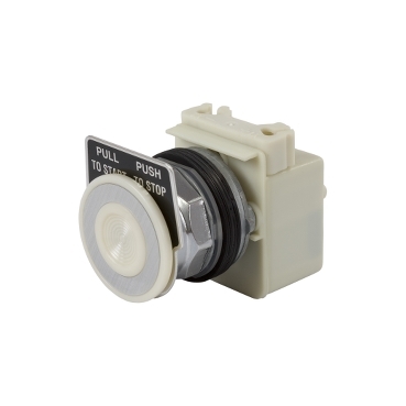 9001KR8W20H25 - PUSH BUTTON 600VAC 10A 30MM T-K | Schneider Electric USA