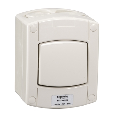 CSW220_GY - Kavacha - 20A - 250V - Surface Mount 1 Gang 2 pole Switch - IP66 | Schneider ...