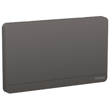 E8330TX_DG_G11 - Blank plate, AvatarOn, 2 gangs, Dark grey | Schneider ...