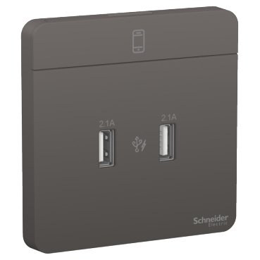 E8332USB_DG - AvatarOn, 2 USB charger, 2.1A, Dark Grey | Schneider ...
