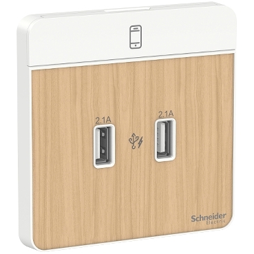 E8332USB_LW_G11 - AvatarOn - double USB charger - 2.1 A- Light Wood ...