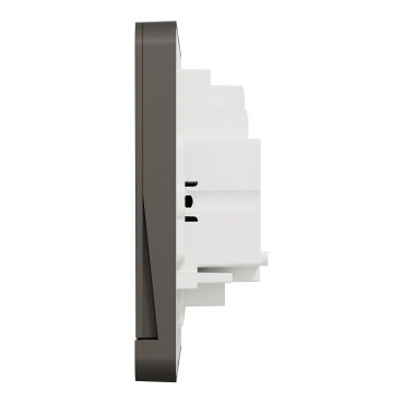 E83T25D_DG - Switched socket, AvatarOn, 13A 250V, 2 pole, 2 gang, dark ...