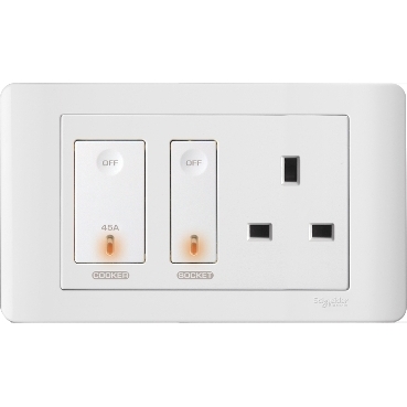 E84T15D45N_WE - 45A Double Pole Switch and 13A Switched Socket Outlet ...