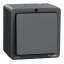 LWP1612 - Switch, Lisse weatherproof, IP66, 1 gang, 2way, 10AX, grey ...