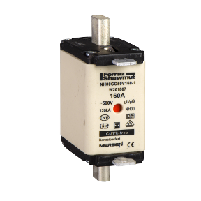 DF2FGN160 - Fuse-link with blades DIN NH size 00 - gG 160A 500V AC ...