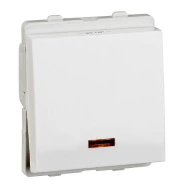 P1120 - Switch, Livia, 1-way 2-pole, 20A, 2 module, IP2X, with ...