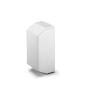 4215520 - Canal CD - Stop end cover for 40H x 110W mm. | Schneider ...