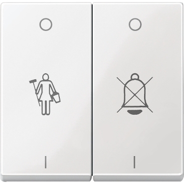 MTN432619 - Rocker 2-gang marked for DND, polar white, glossy, System M ...