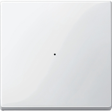 MTN619119 - Rocker for 1-gang push-button module, polar white, glossy ...