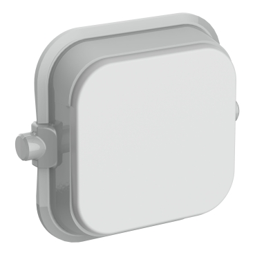 PDL381AR-CY - Dolly Rocker Switch, Iconic | Schneider Electric New Zealand