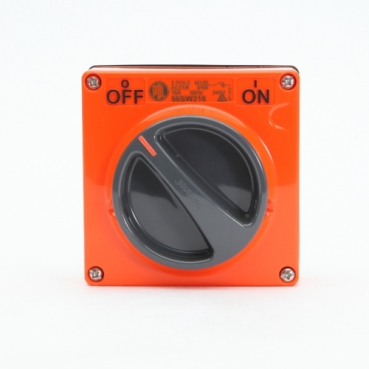 PDL56SW210LERO - Switch, 56 Series, 10A 500V 2-Pole IP66 | Schneider ...