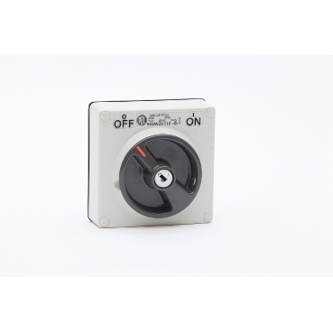 PDL56SW2K110LEGY - Keylock Switch, 56 Series, 2-Way 10A 240V 1-Pole ...