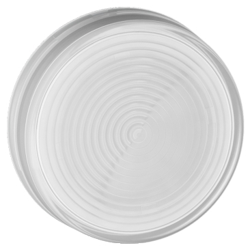 ZB7EV01 - Harmony XB7, white grooved lens, for BA9s pilot light Ø22 mm ...