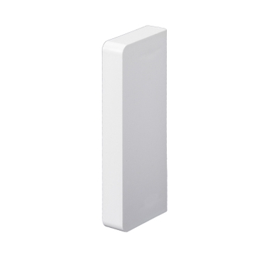 CTS105W - Consort Dado - end cap - 100 x 50 mm | Schneider Electric UK