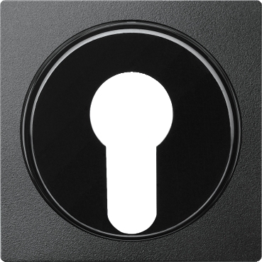 318114 - Central plate, Merten System M, for two way key switch insert ...