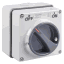 S56SW110GY - WPS - 10A 250V - 1 switched pole - IP66 (grey) | Schneider ...