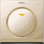 U31EKTHL_ACG - Ulti-ELV - keycard switch (champagne gold) | Schneider ...