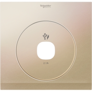 UC31USB_XCG - Ulti - 1 x 2.1A USB Charger Cover - Champagne Gold ...