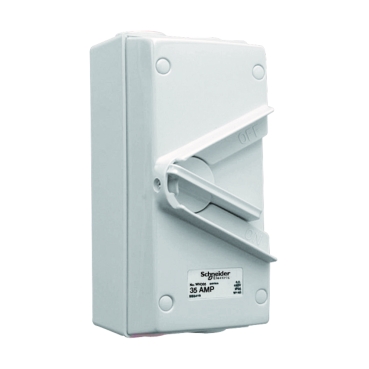 WHD35 - 35A 440V Surface Mount Double Pole Isolating Switch IP66 | Schneider Electric Saudi Arabia