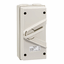 WHS35_GY - Kavacha - 35A - 250V - Surface Mount single Pole Isolating Switch - IP66 | Schneider ...