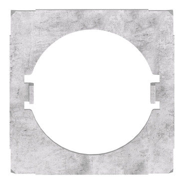 ZB5AZ902 - Anti-rotation plate for Ø22 head, metal | Schneider Electric