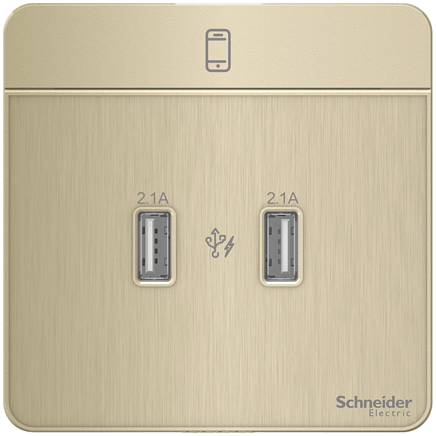 E8332USB_GH_G8 - AvatarOn, USB charger, 2 type A, 2.1 A, Metal Gold ...