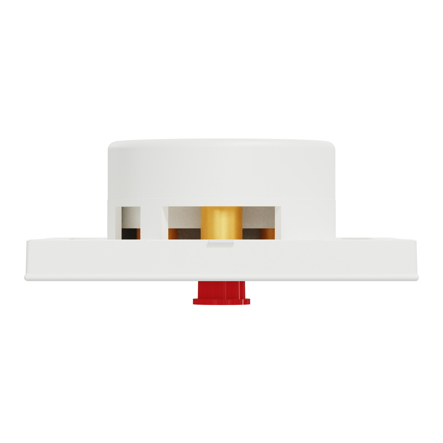 E8733SMATV_WE - TV/FM/SAT TV Socket, AvatarOn C, F Connection, White ...