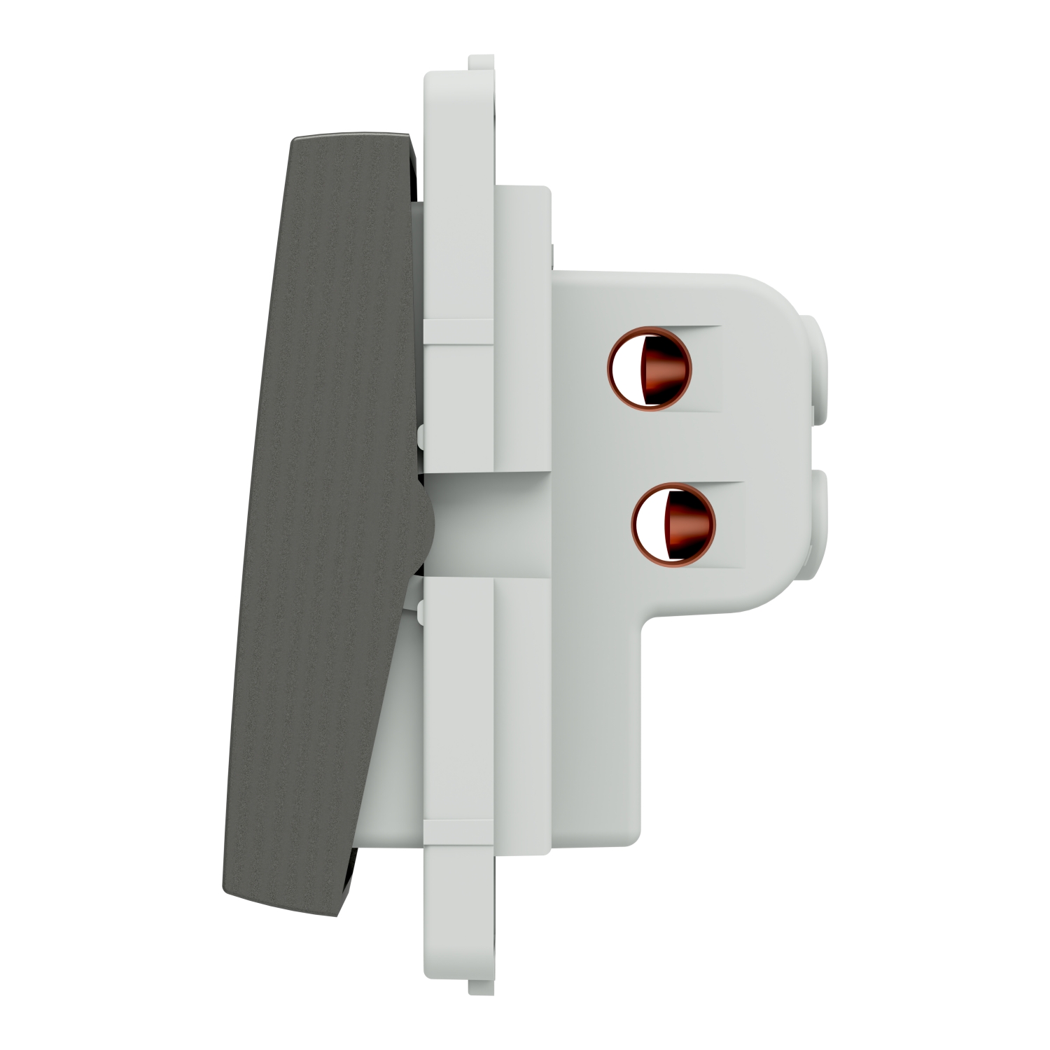 P1025_PG - Switch, Livia, 10A, bell push, 2 module, painted grey ...