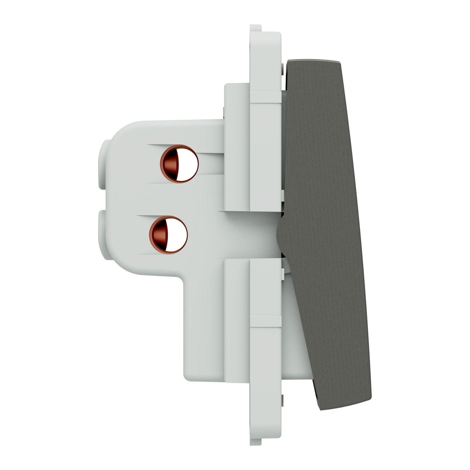 P1101_PG - Switch, Livia, 16A, 1 way, painted grey | Schneider Electric ...