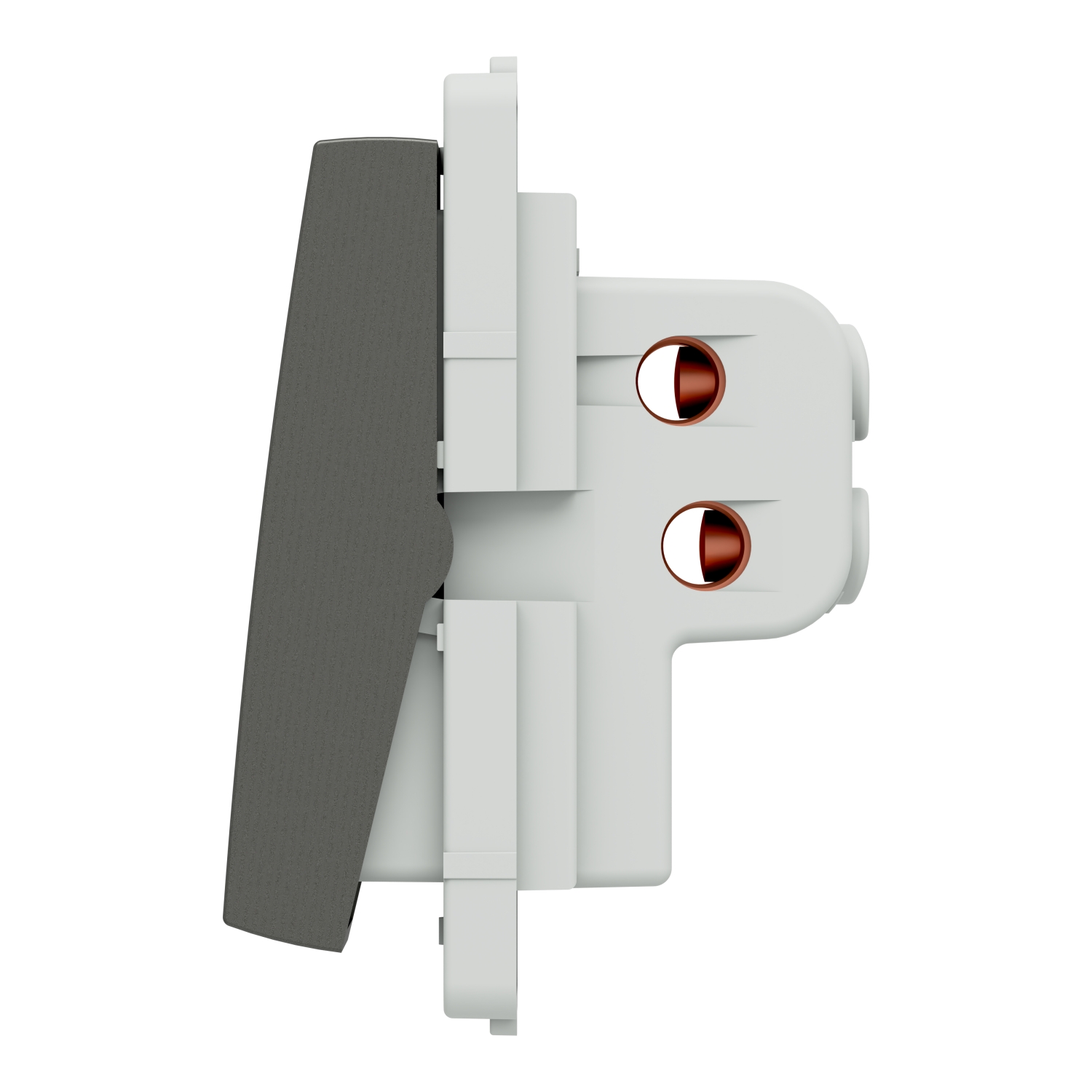 P6004_PG_N - MMR Switch, Livia, Painted Grey | Schneider Electric India