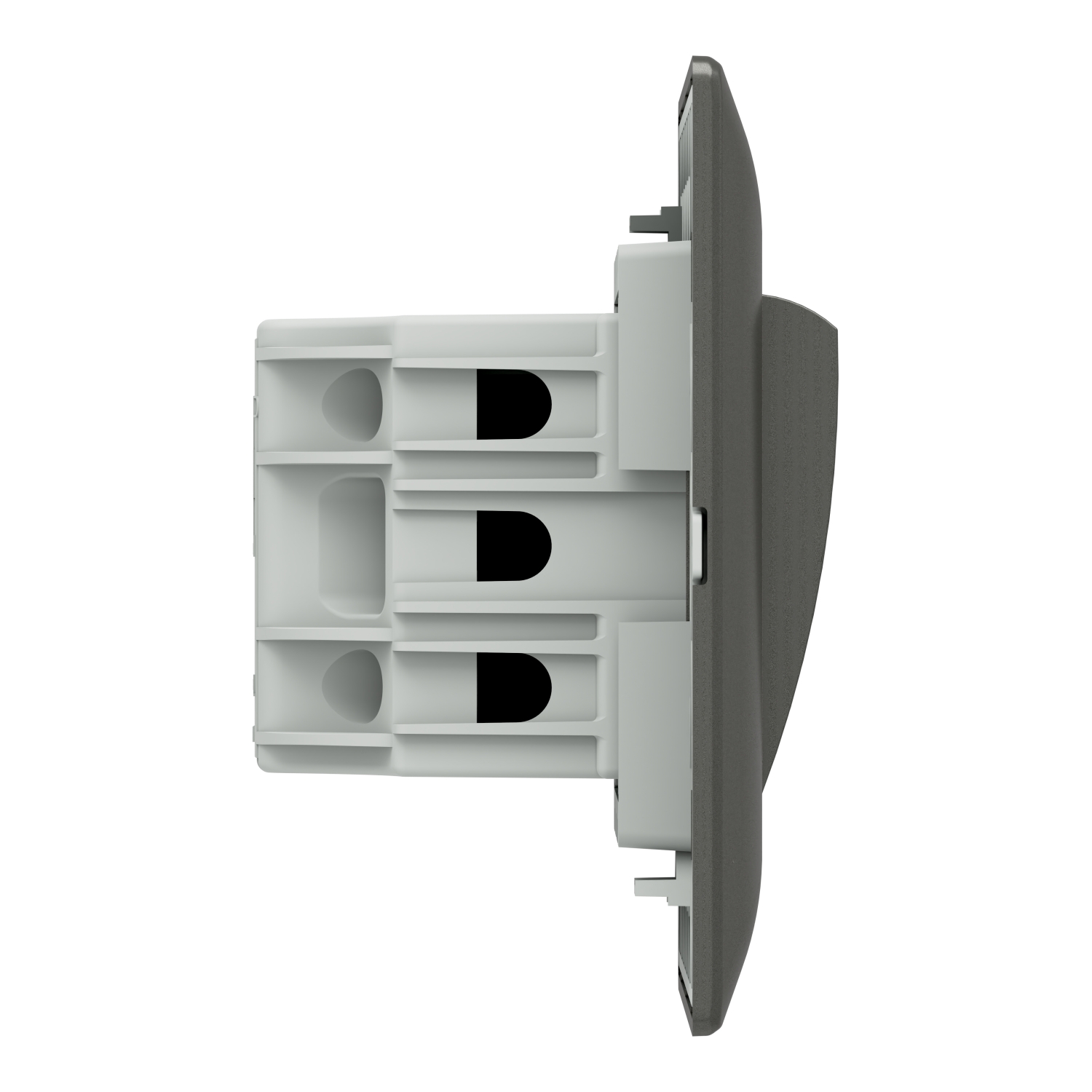 P6005_PG_N - Key card switch, Livia, 20A, 3 modules, electronic ...