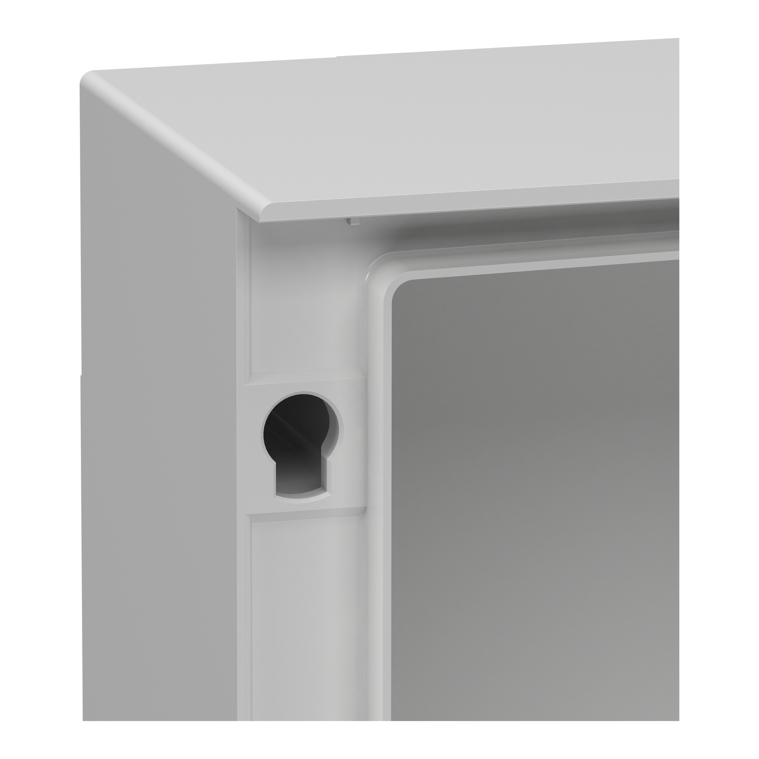NSYPLM43BG - Wall mounted polyester enclosure, Thalassa PLM, plain door ...