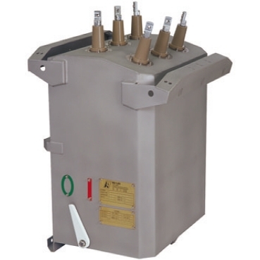 Reclosers, Sectionalizers and Load Break Switches | Schneider Electric