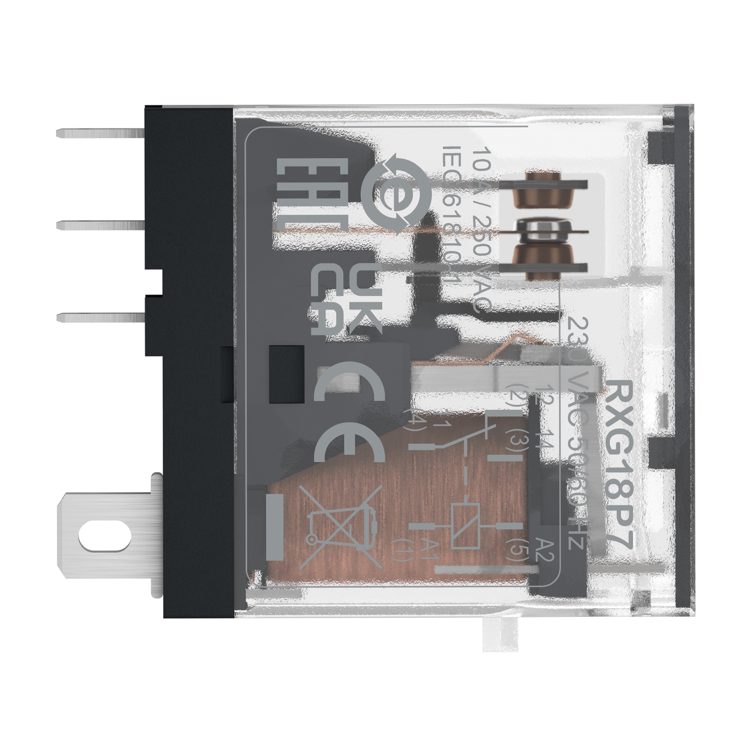 RXG18P7 - Interface plug in relay, Harmony, 10A, 1CO, basic cover, 230V AC | Schneider Electric 대한민국
