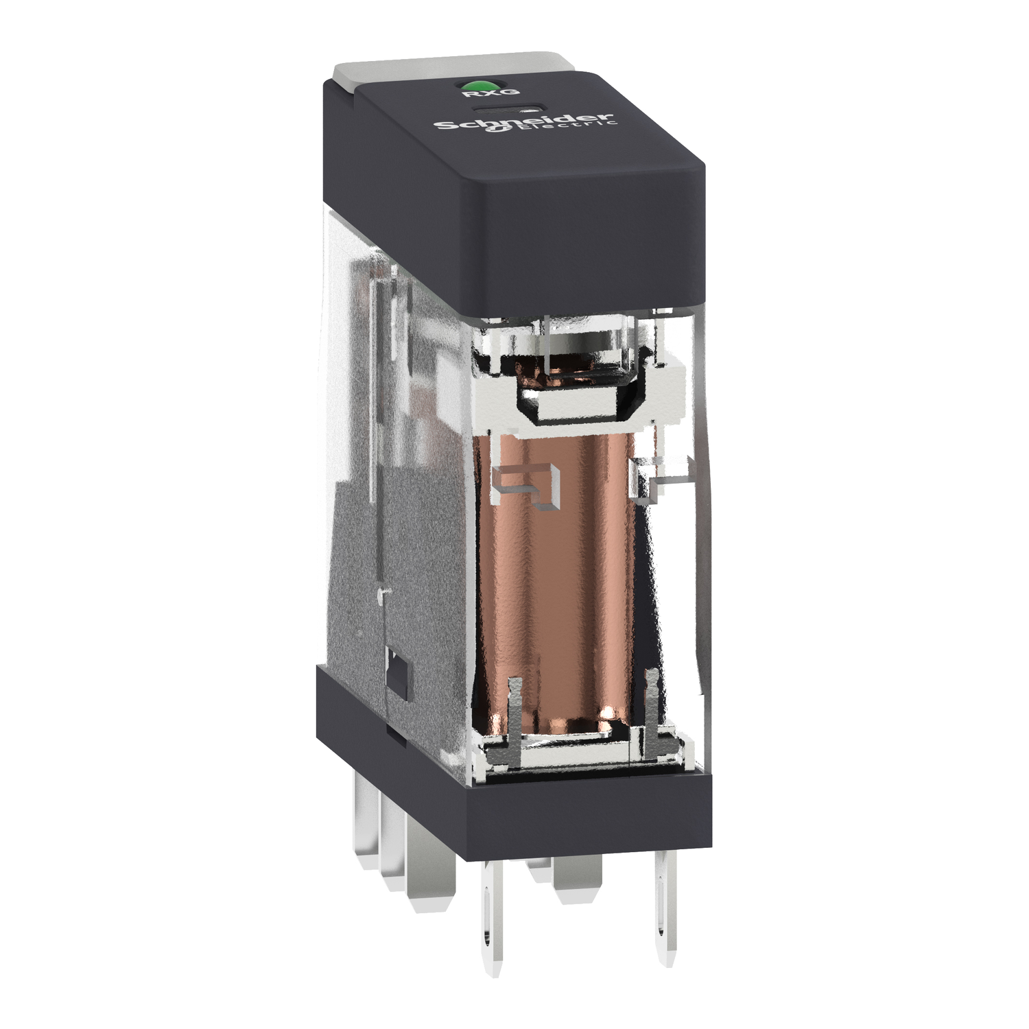 RXG23BD - interface plug-in relay - HARMONY RXG - 2 C/O standard - 24 V ...