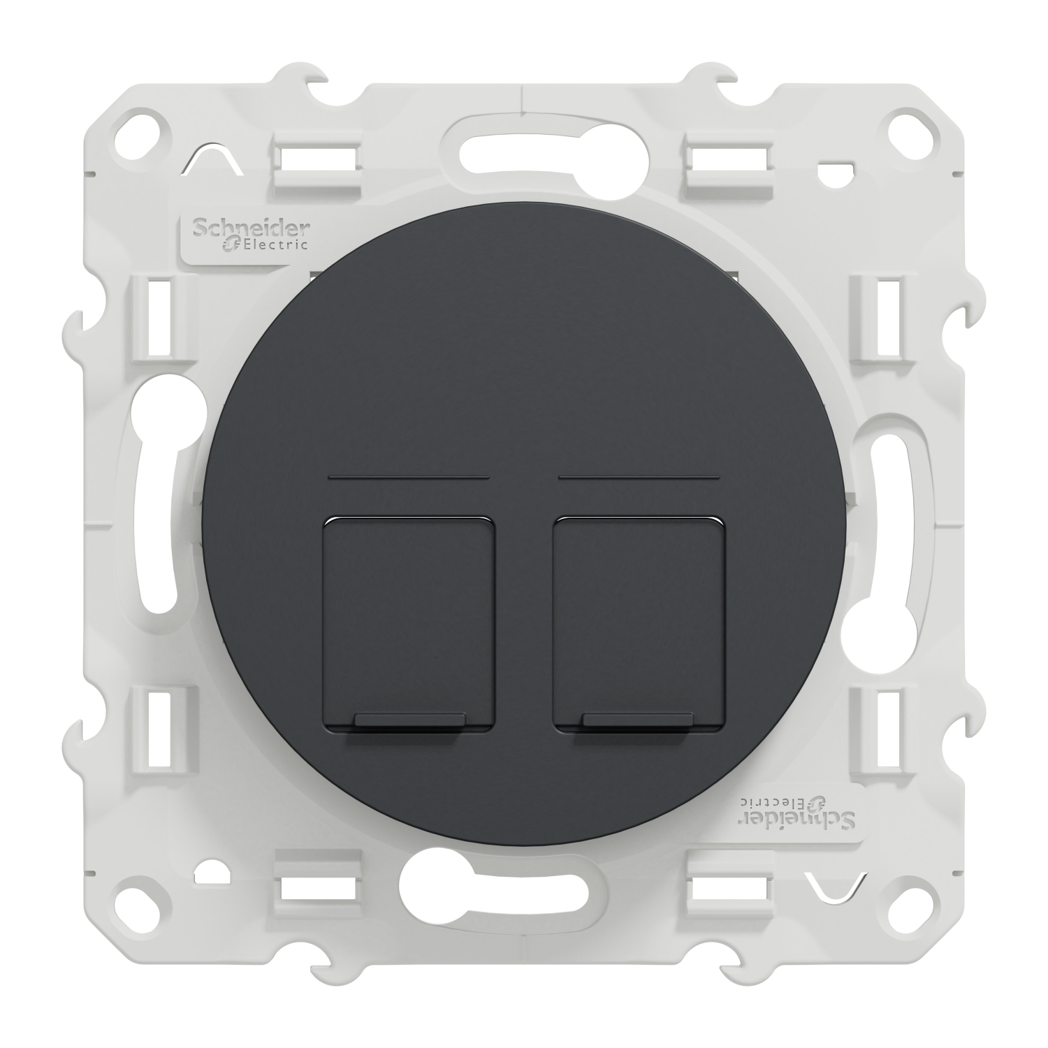 S540410 - Central plate, Odace, for RJ45, 2 sockets, anthracite ...